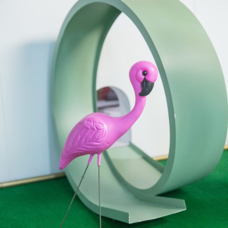 Google Home Mini Golf Tour | Pinnacle