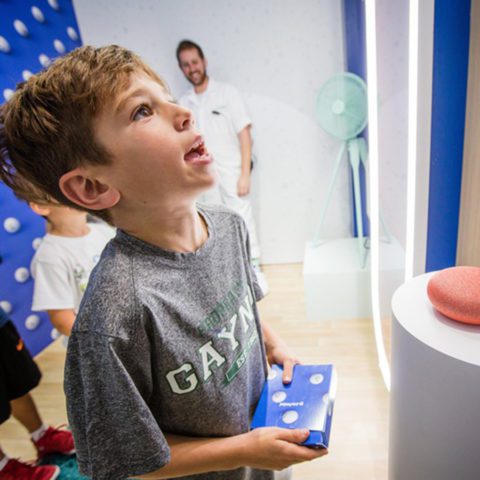 Google Home Mini Golf Tour | Pinnacle