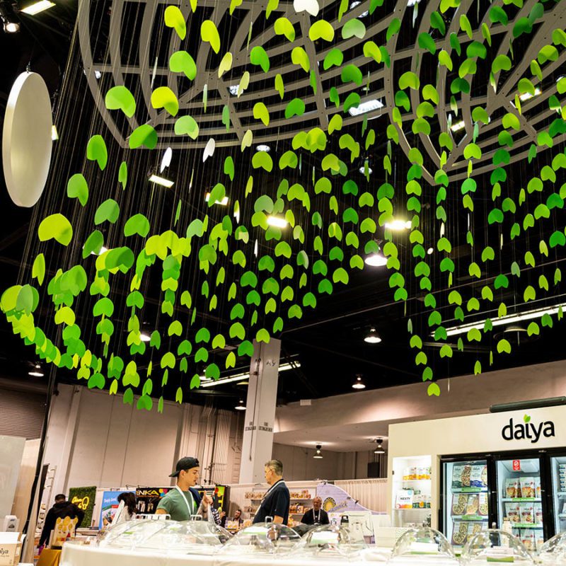 Daiya at NPEW | Pinnacle